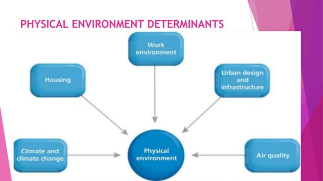 DETERMINANTS OF HEALTH.pdf | Medical Health