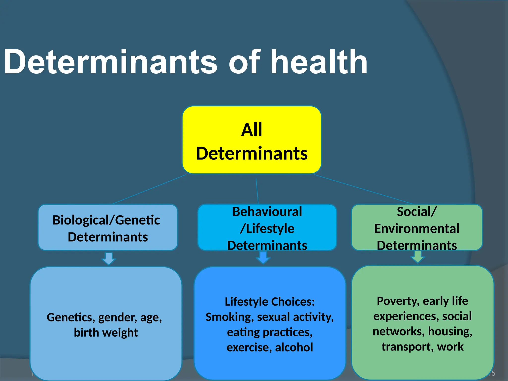 Determinants of Health PowerPoint presentation | PPTX