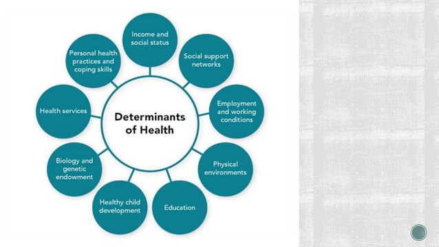 Determinants of health | PPTX