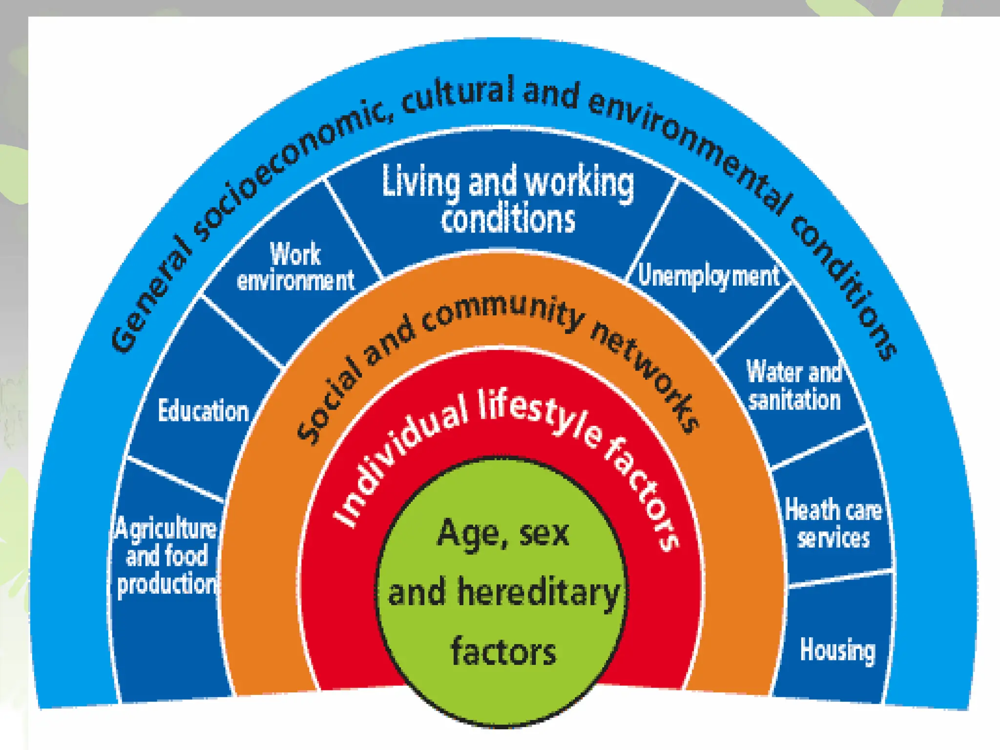 Determinants of health, dimensions of health, positive health and ...