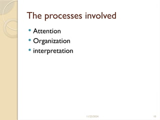 Determinants of Human Behaviour, perception-1 (1).pptx