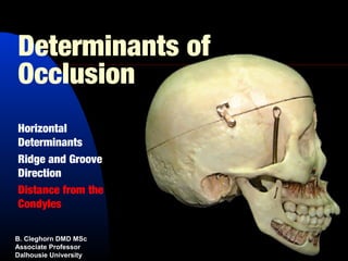 Determinants of occlusion | PPT
