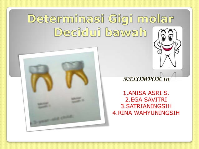 Determinasi gigi molar decidui bawah syiiiik | PPTX