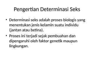 Determinasi_Seks materi kelas 12 biologi | PPTX