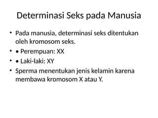 Determinasi_Seks materi kelas 12 biologi | PPTX