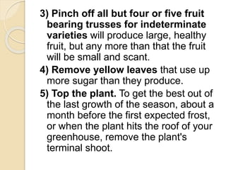 Determinate & indeterminate habit | PPTX