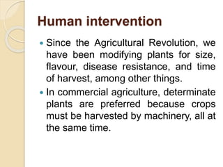 Determinate & indeterminate habit | PPTX