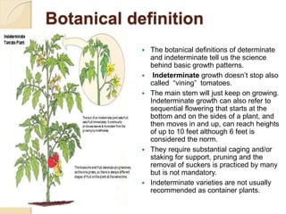Determinate & indeterminate habit | PPT