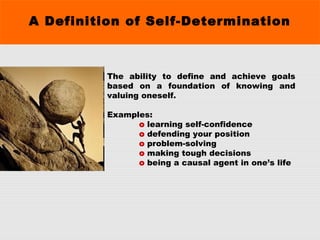 Determination Definition