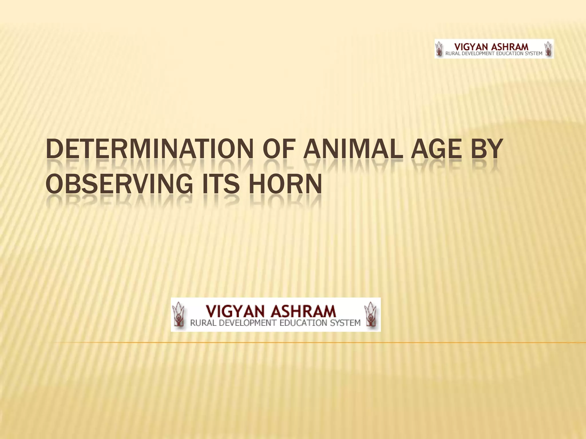 Determination age of animal with help of horns | PPTX