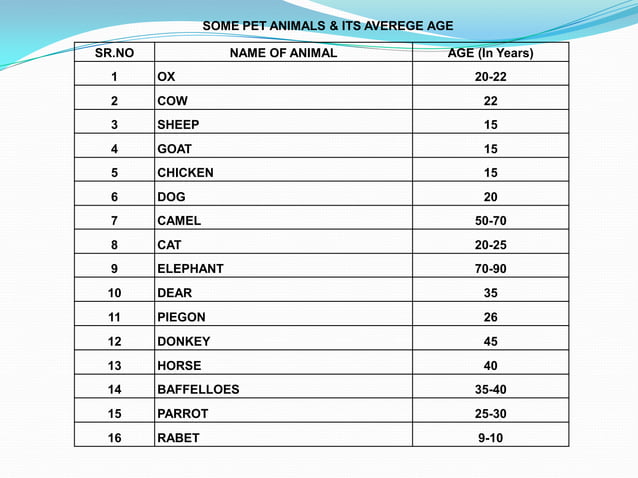 Determination age of animal with help of observing teeth | PPTX ...