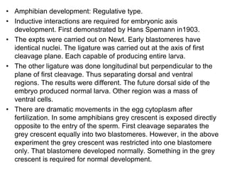 Determination of amphibian axes | PPT | Infertility | Reproductive Health