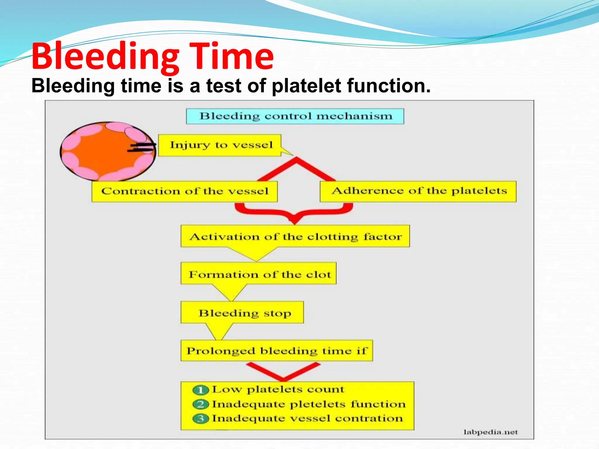 DETERMINATION OF BLEEDING AND CLOTTING TIME Ass.Lec Hussein Hamid Al ...