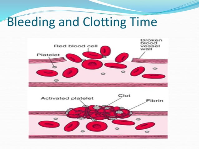 DETERMINATION OF BLEEDING AND CLOTTING TIME Ass.Lec Hussein Hamid Al ...