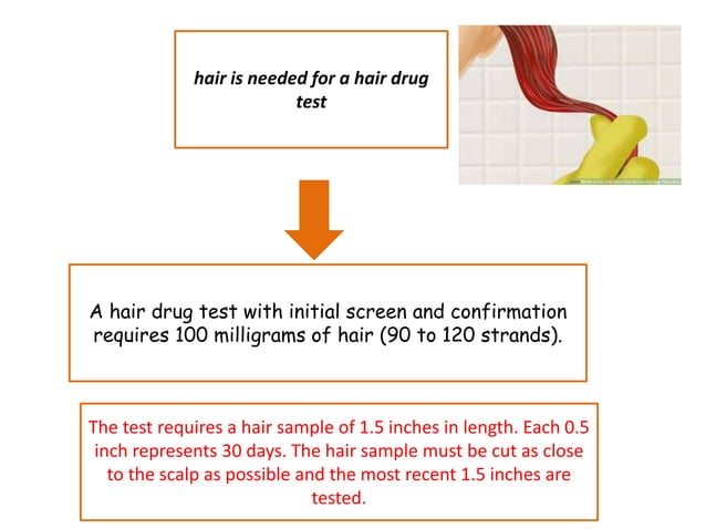 Determination of drug of abuse in hair sample | PPTX