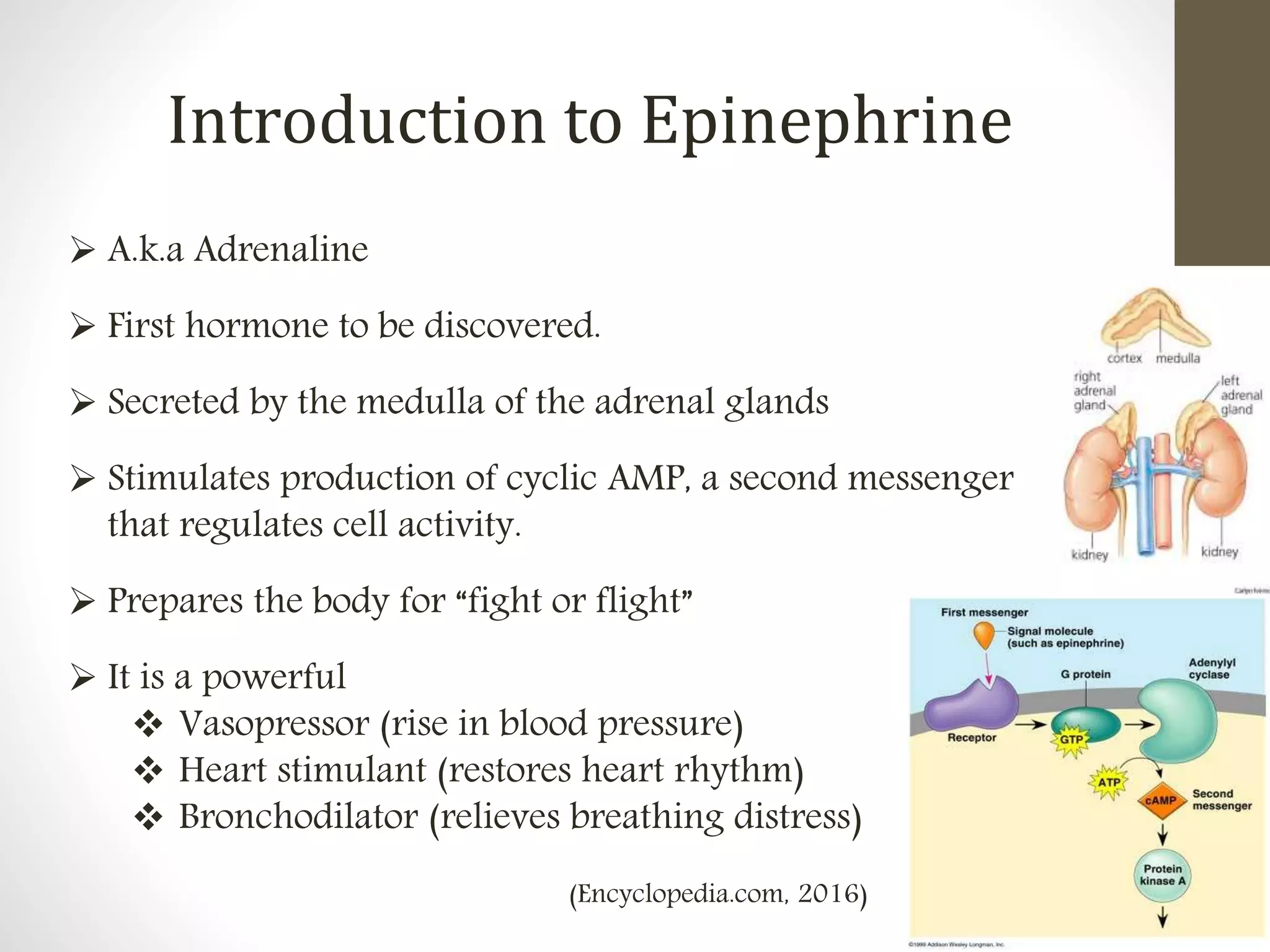Determination of Epinephrine molecular structure through IR and NMR (1H & 13C) spectrum | PPTX