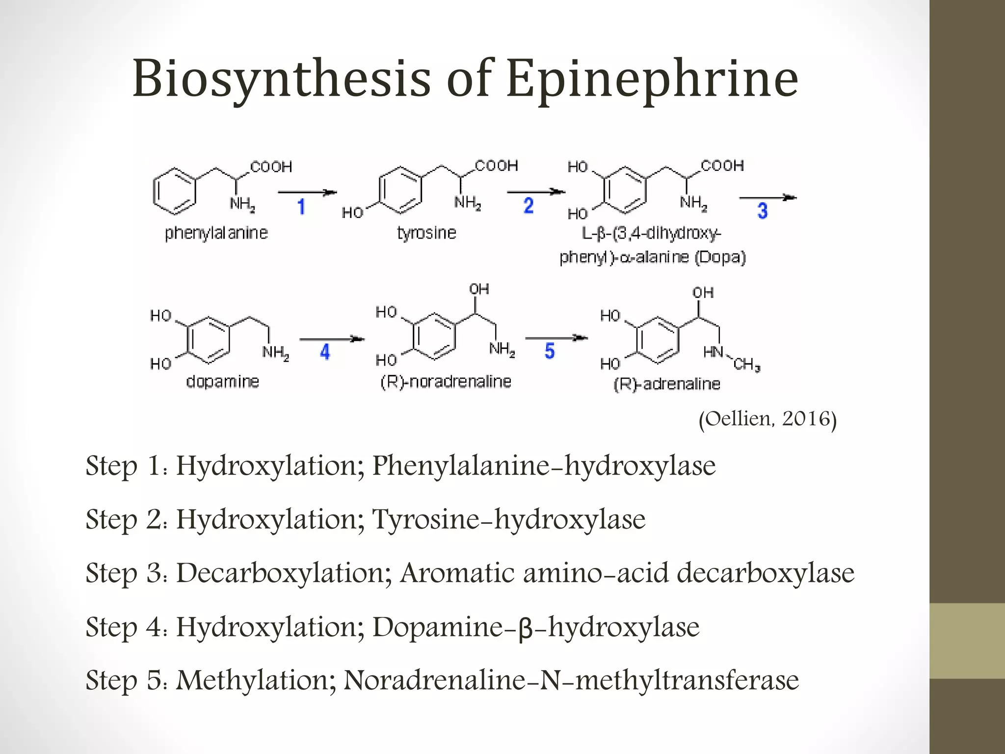 Determination of Epinephrine molecular structure through IR and NMR (1H & 13C) spectrum | PPTX
