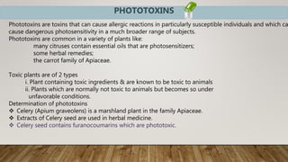 Determination of foreign matter, heavy metals, pesticide residues ...