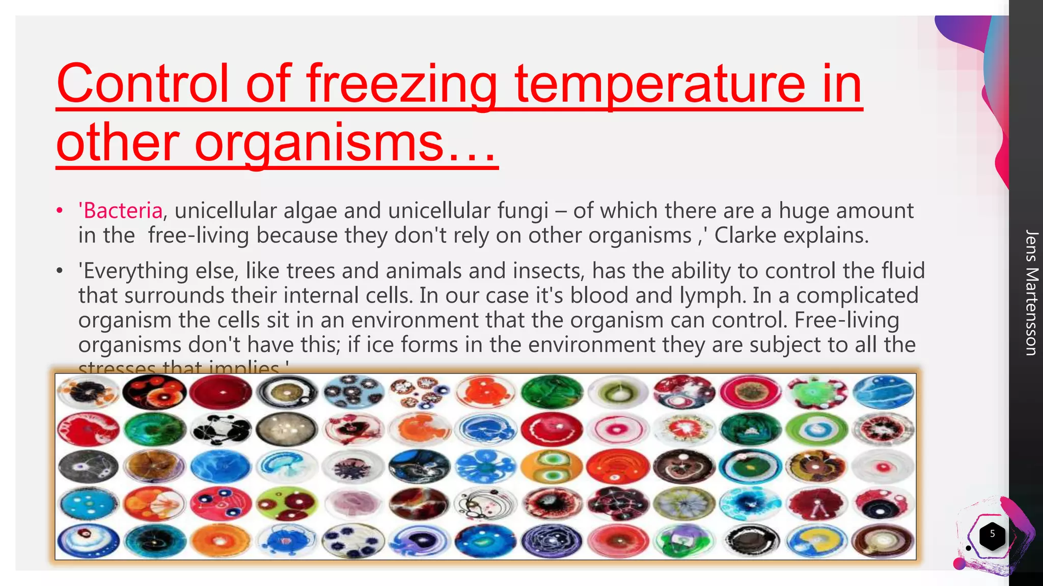 Determination of freezing point final | PPTX
