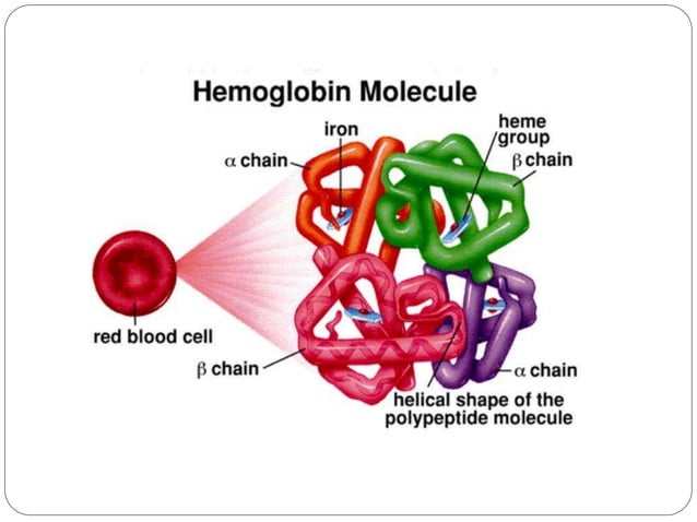 Determination of haemoglobin | PPTX | Blood Disorders | Diseases and ...