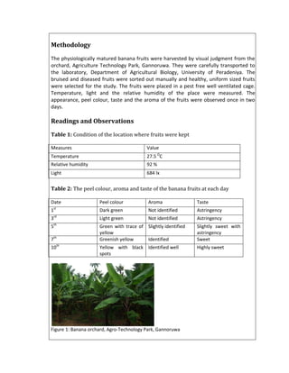 Determination of maximum consumer preference of banana fruit | PDF