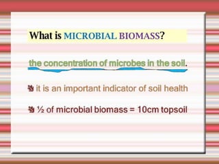 DETERMINATION OF MICROBIAL BIOMASS.pptx