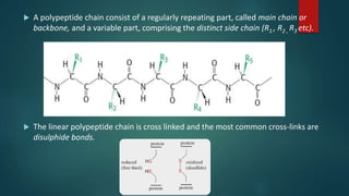 Determination of primary structure of proteins | PPTX