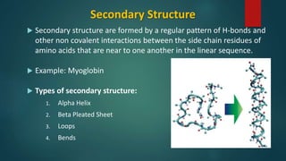 Determination of primary structure of proteins | PPTX