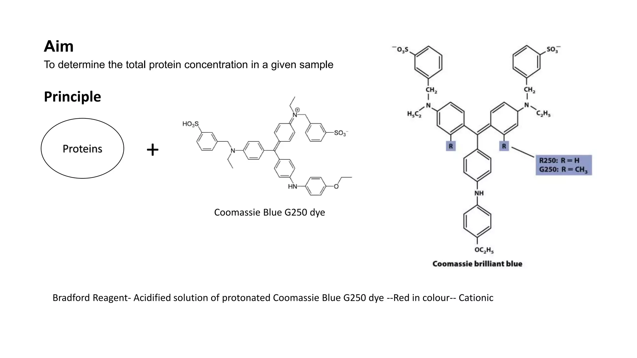 Determination of protein concentration by Bradford method.pptx