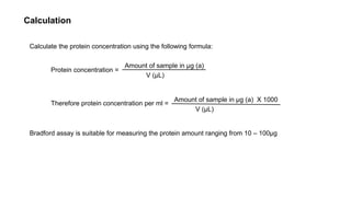 Determination of protein concentration by Bradford method.pptx
