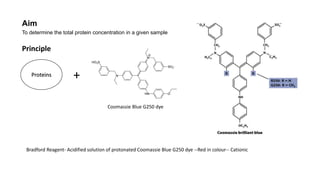 Determination of protein concentration by Bradford method.pptx