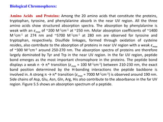 Determination of protein concentration by ultraviolet spectroscopy | PPTX