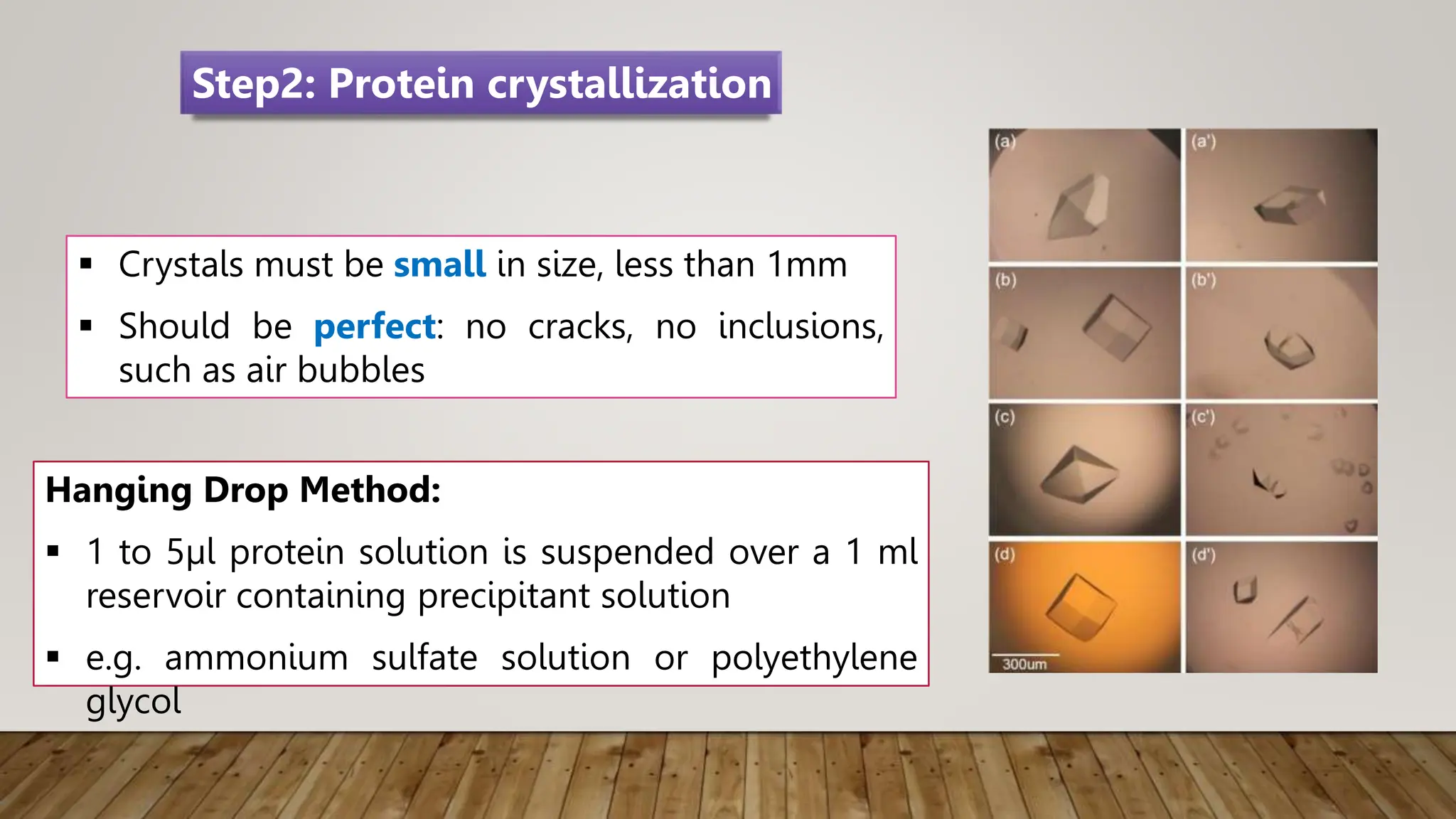 Application X-Ray crystallography in protein structure prediction.pptx