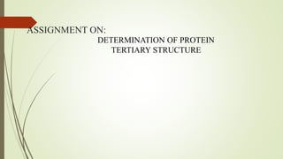 Determination of protein tertiary structure | PPTX