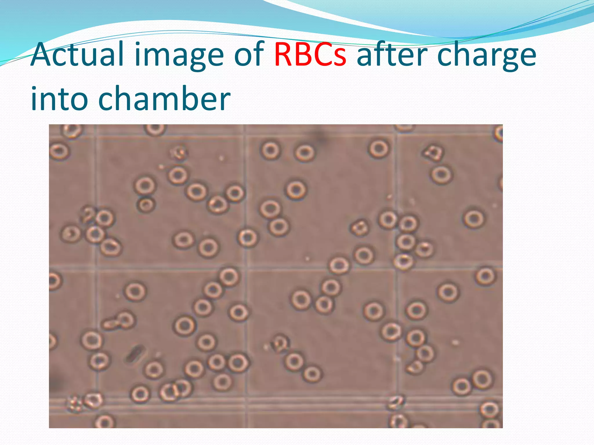 Determination of rbc count by Pandian M | PPTX