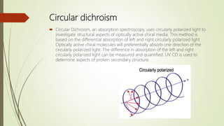 Determination of secondary structure of proteins | PPT