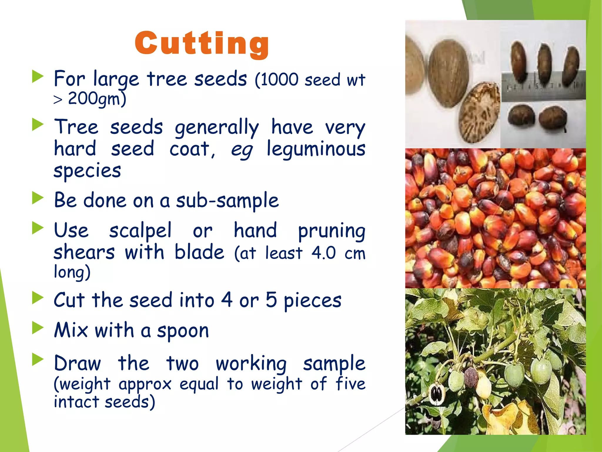 Determination of seed moisture content | PPT