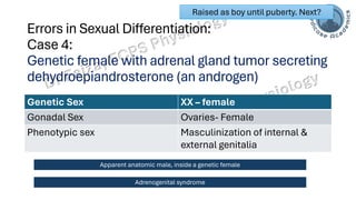 "Sexual Determination: Genetic, Gonadal & Phenotypic Sex and ...