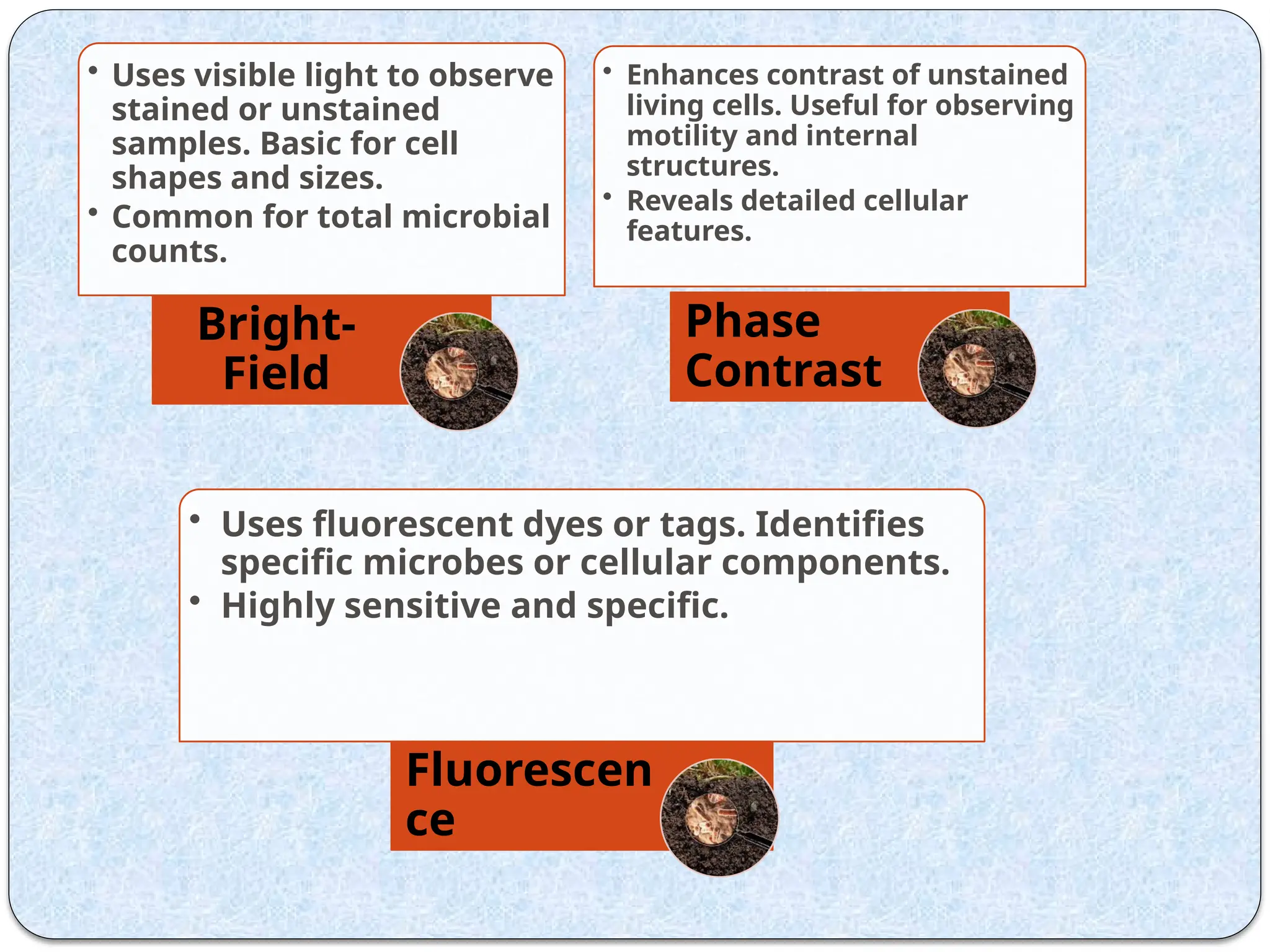 Determination of soil microbes using classical techniques.pptx