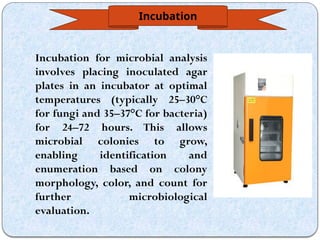 Determination of soil microbes using classical techniques.pptx