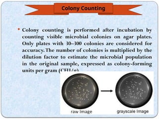 Determination of soil microbes using classical techniques.pptx