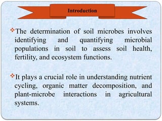 Determination of soil microbes using classical techniques.pptx