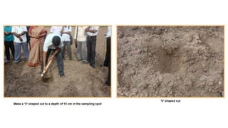 Collection and processing of soil samples for analysis | PDF | Geology ...