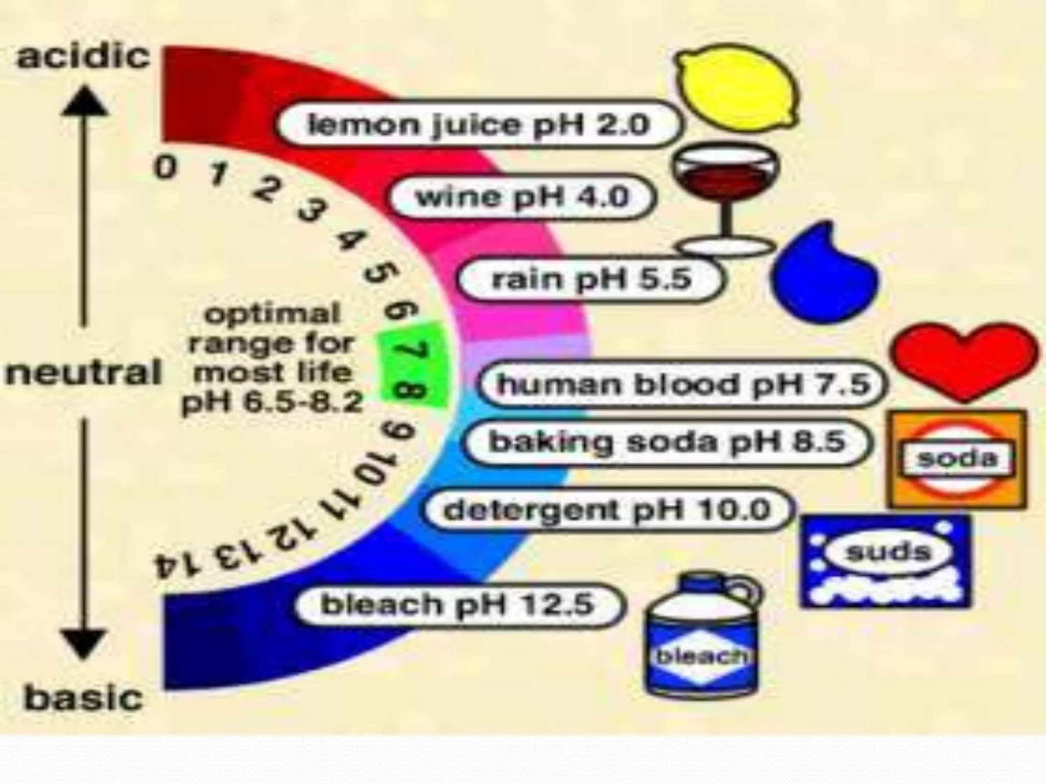 Determination of strength of acids and bases by using pH scale | PPTX