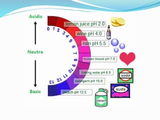 Determination of strength of acids and bases by using pH scale | PPTX
