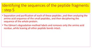 Determination of structure of proteins | PDF