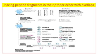 Determination of structure of proteins | PDF