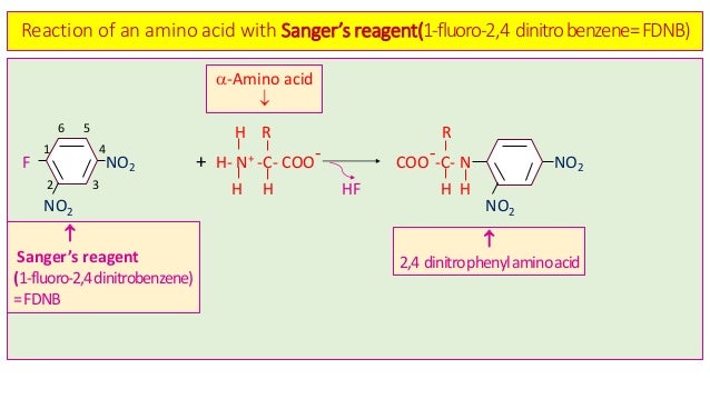 Determination of structure of proteins