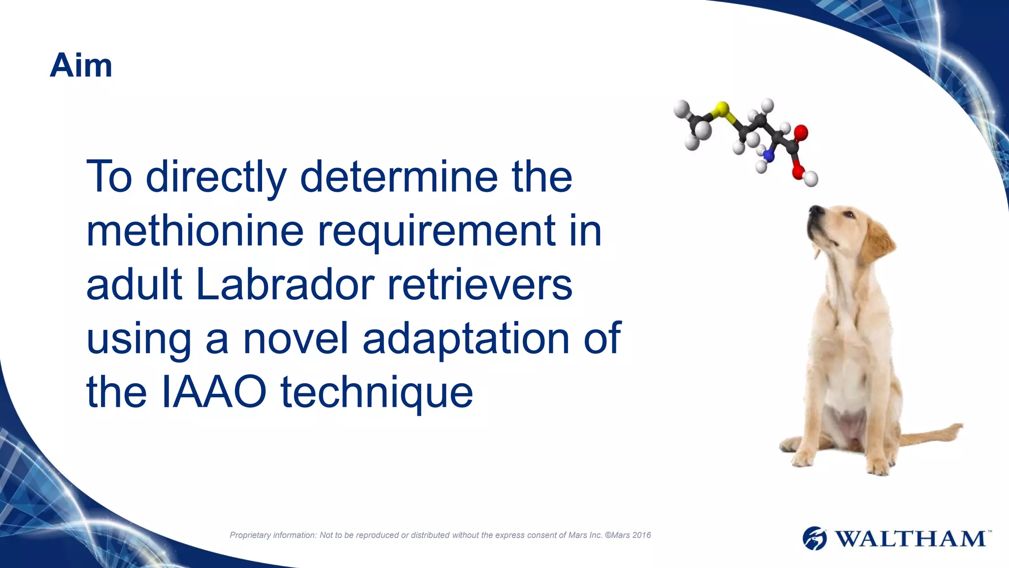 Determination of the methionine requirement of large breed adult dogs ...