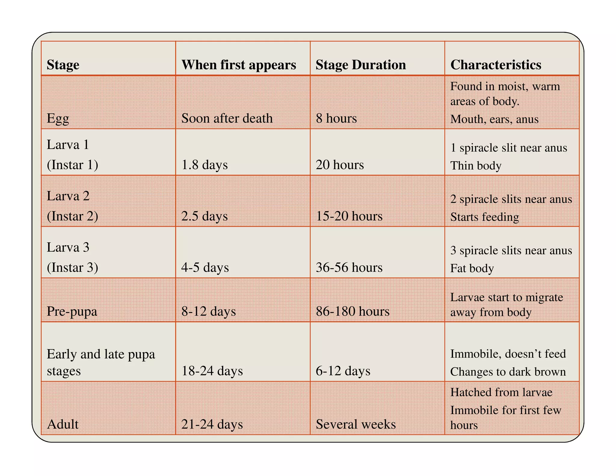 Determination of time since death/ postmortem time interval | PDF